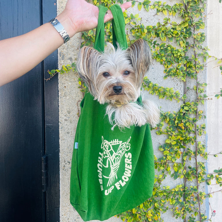 The Inconvenience Store