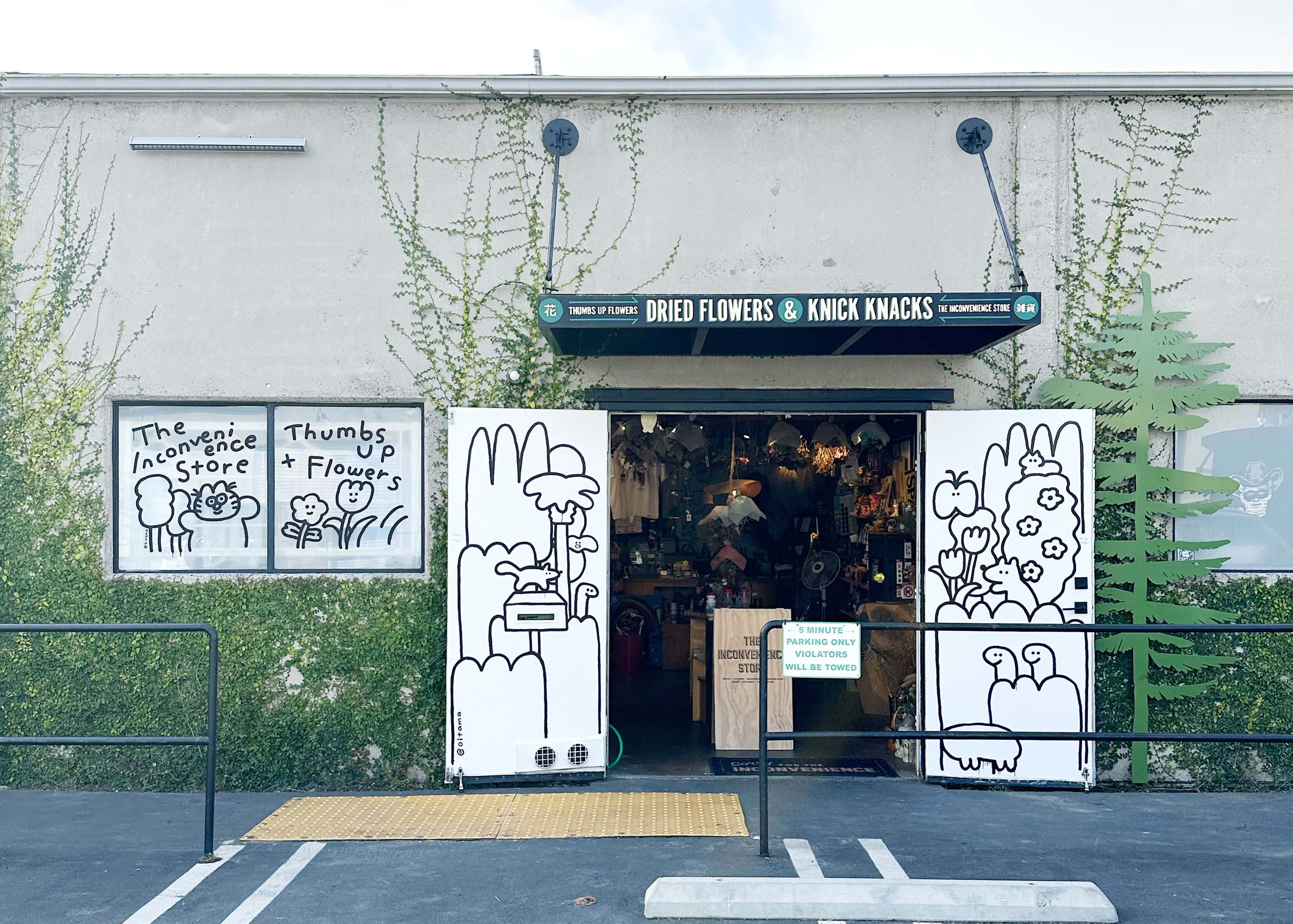 The Inconvenience Store